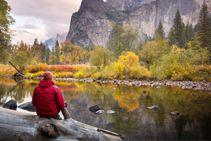 Natural essentials for body, mind & home – Escents